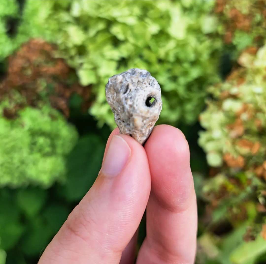 Hagstones, Snake’s Eggs, Chicken Gods – With Cunning & Command